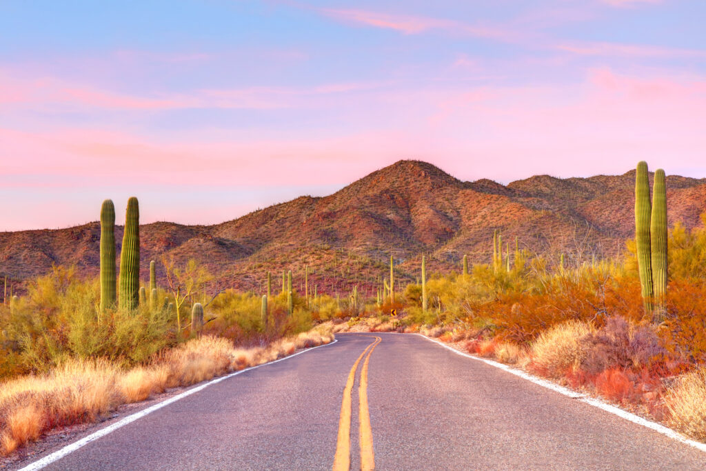 All-Inclusive Guide to Arizona Property Title Searches | Pippin Title
